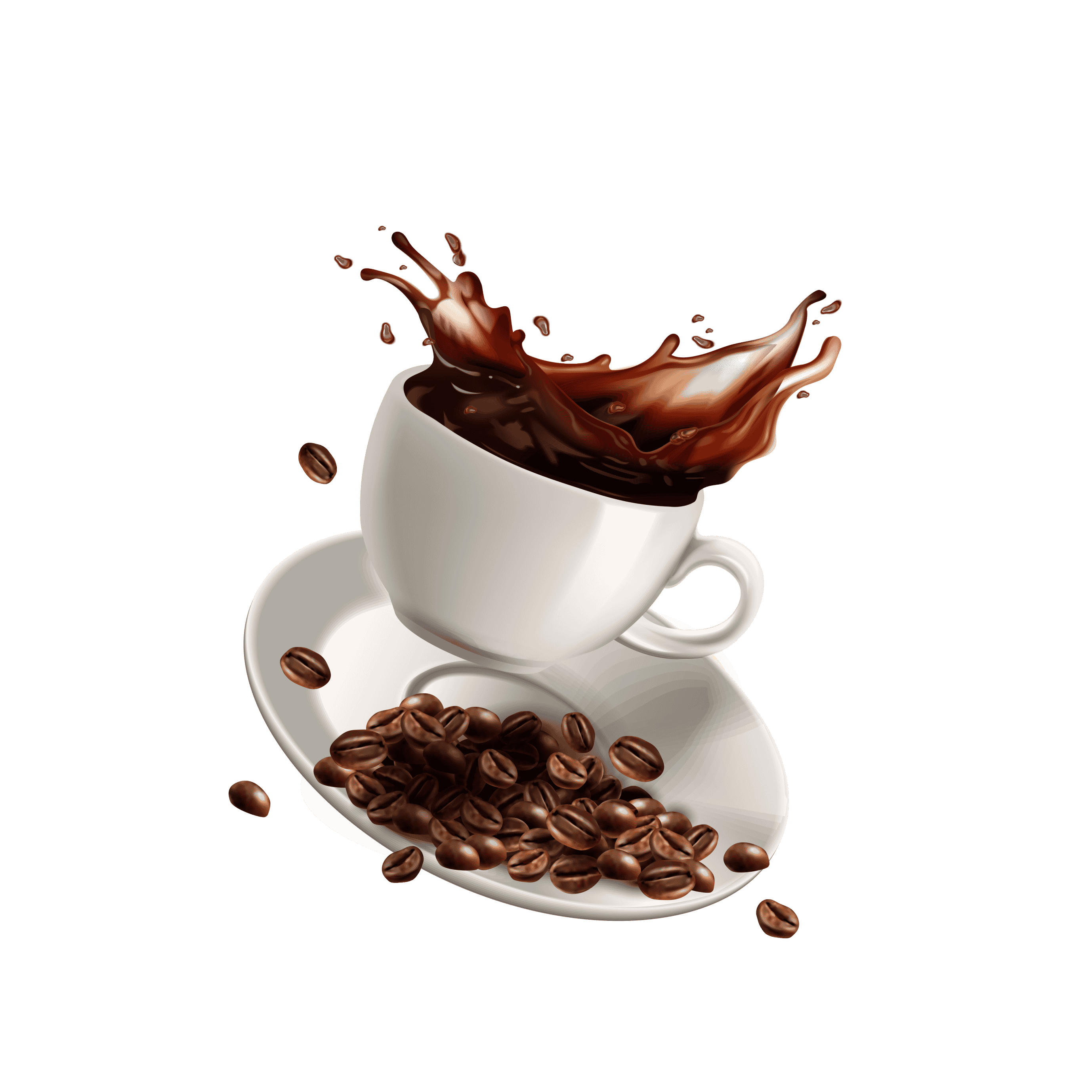 Cipher Cafe - Coffee so good, your taste buds will love it